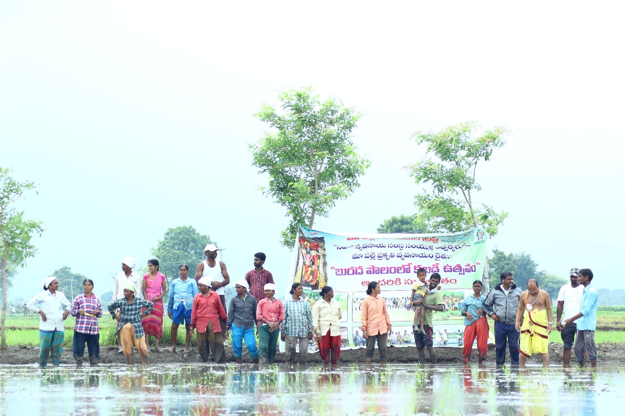 Agriculture - Maapalle